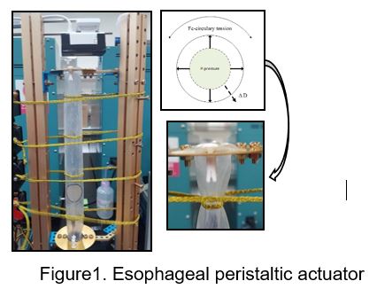 Development of the Migration and Durability Testing Device for ...